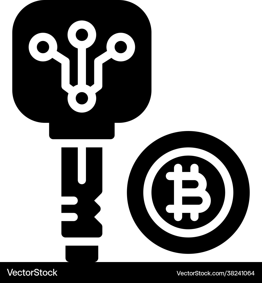 Key icon cryptocurrency related Royalty Free Vector Image
