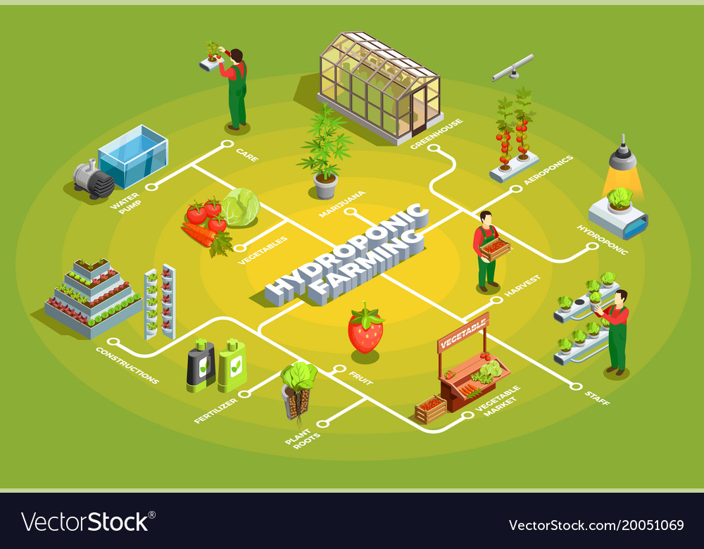 Hydroponic farming isometric flowchart Royalty Free Vector Hydroponic farming isometric flowchart Royalty Free Vector