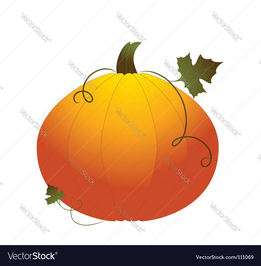 Pumpkin Royalty Free Vector Image - VectorStock