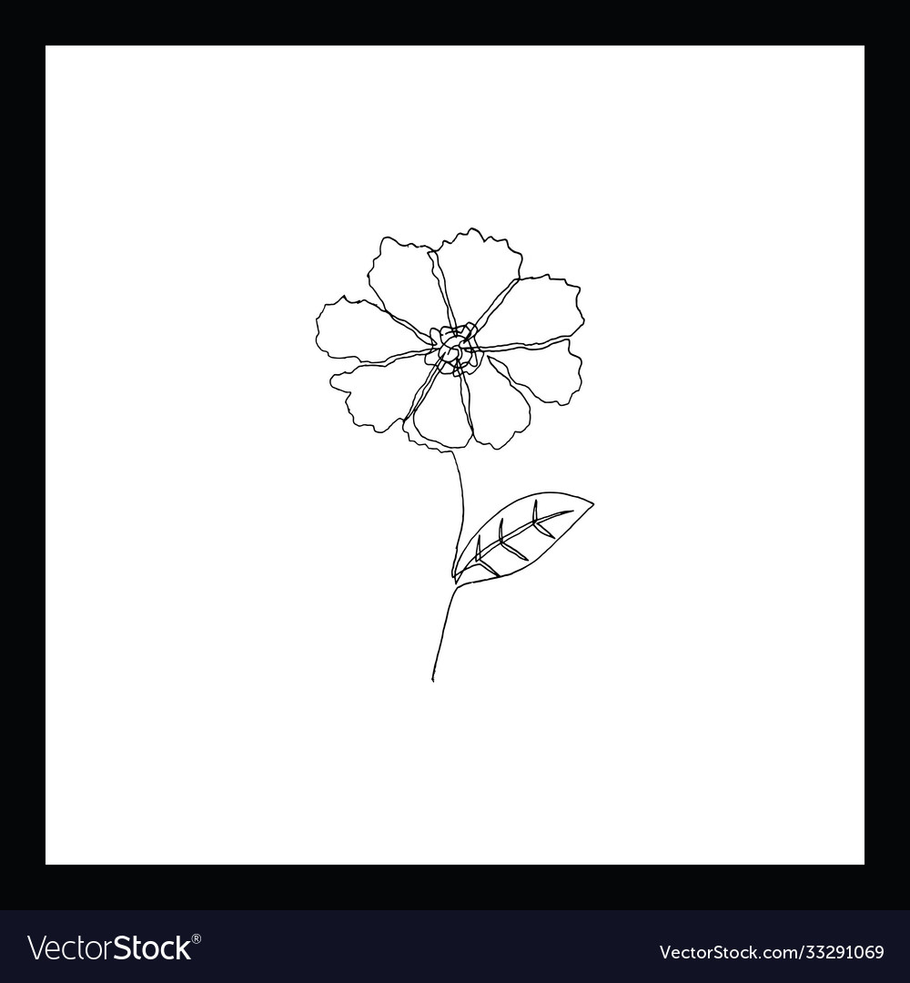 Simple continuous line art floral Royalty Free Vector Image