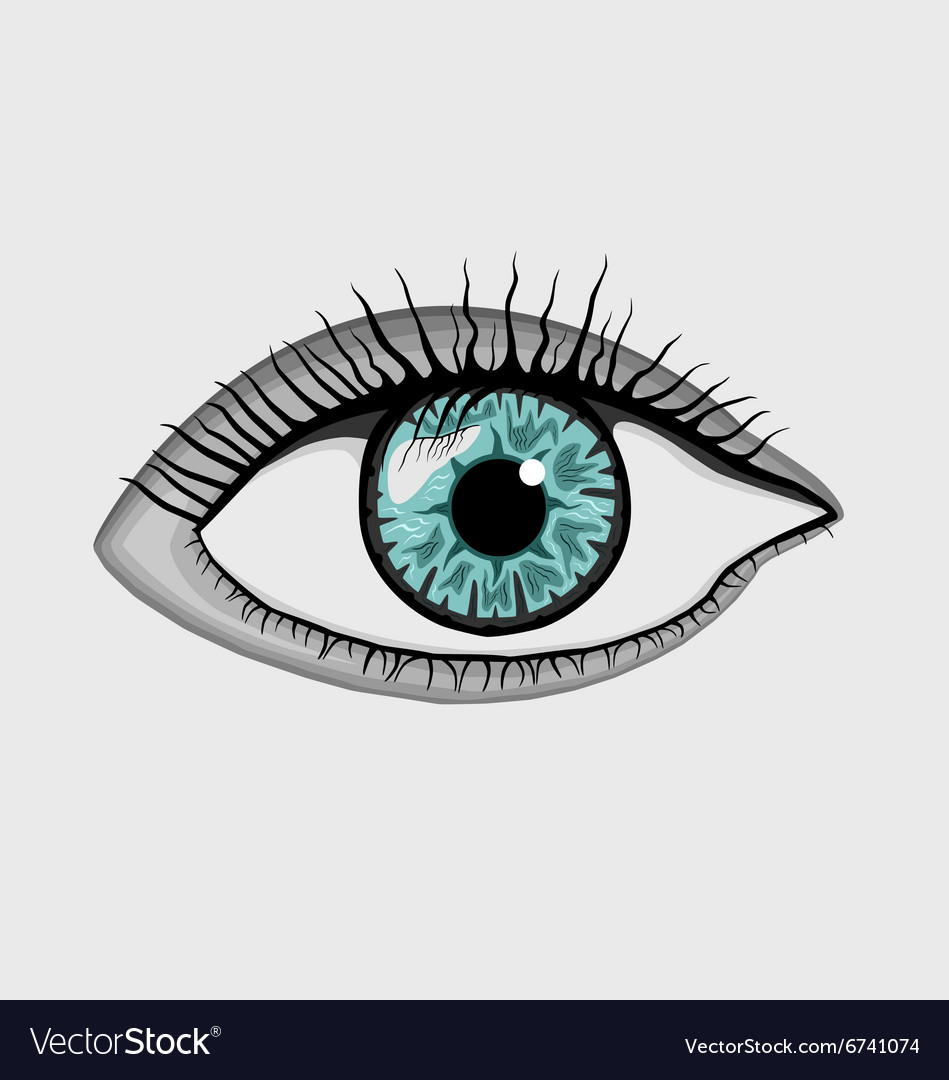 Eye Royalty Free Vector Image - VectorStock