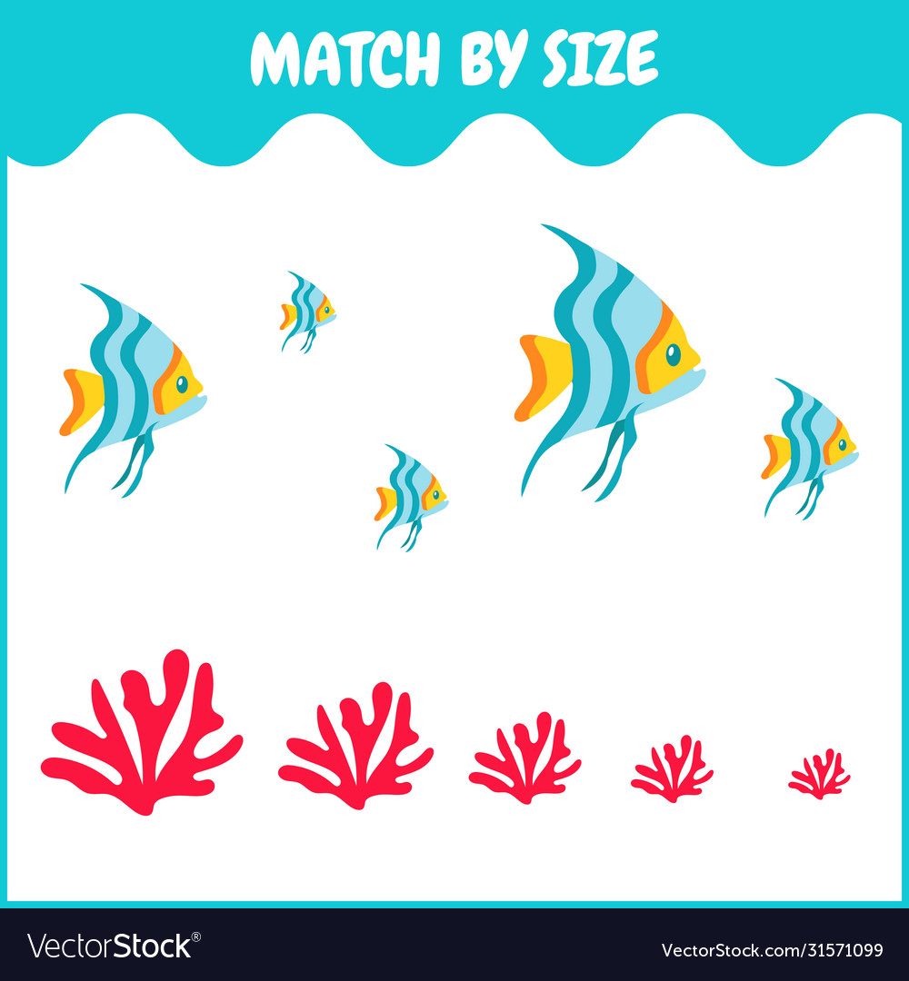 Matching children educational game match object Vector Image