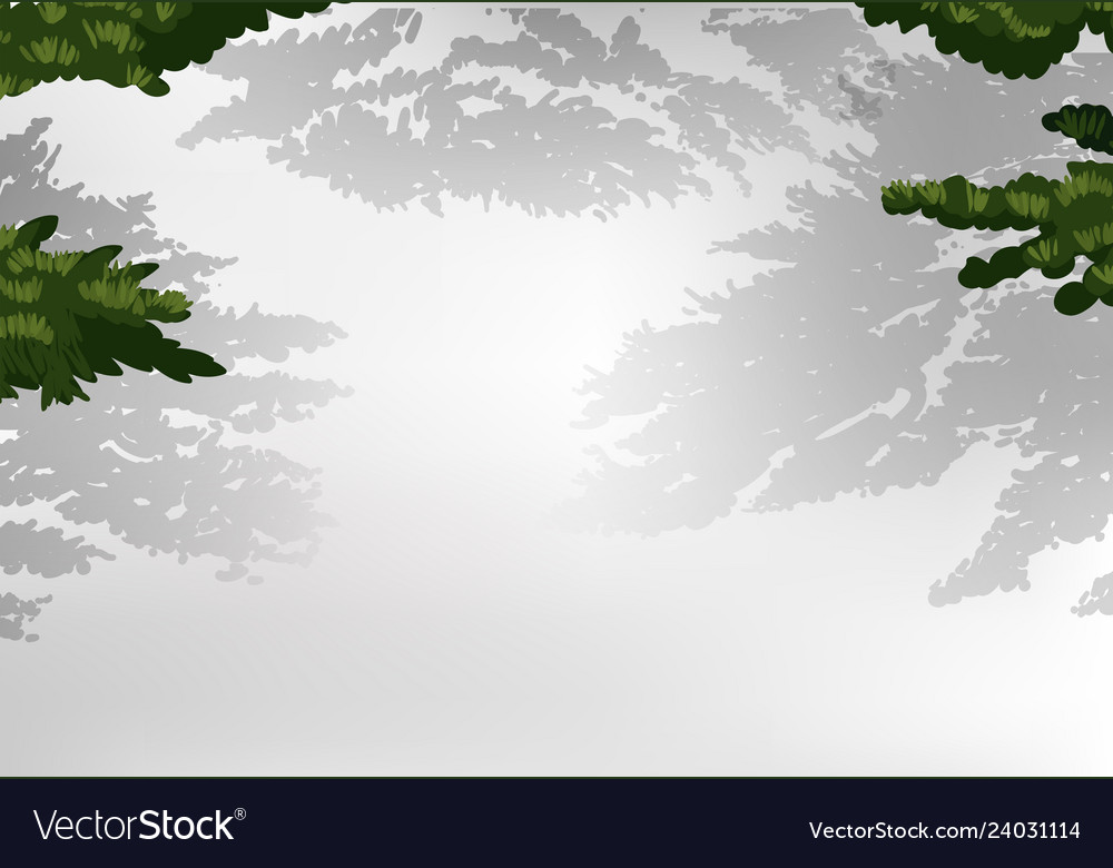 Tree background shadow texture Royalty Free Vector Image