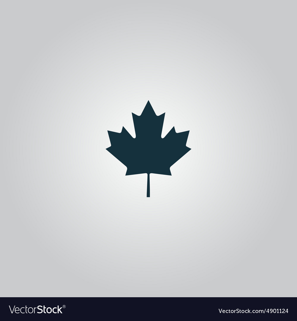 Maple leaf Royalty Free Vector Image - VectorStock
