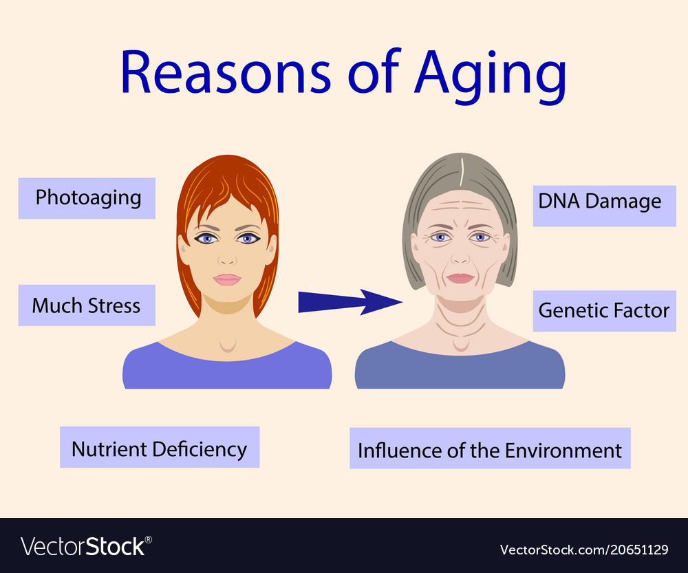 Causes Of Aging With Two Royalty Free Vector Image