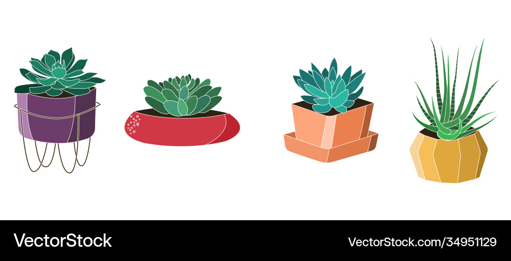 Set succulents in pots Royalty Free Vector Image