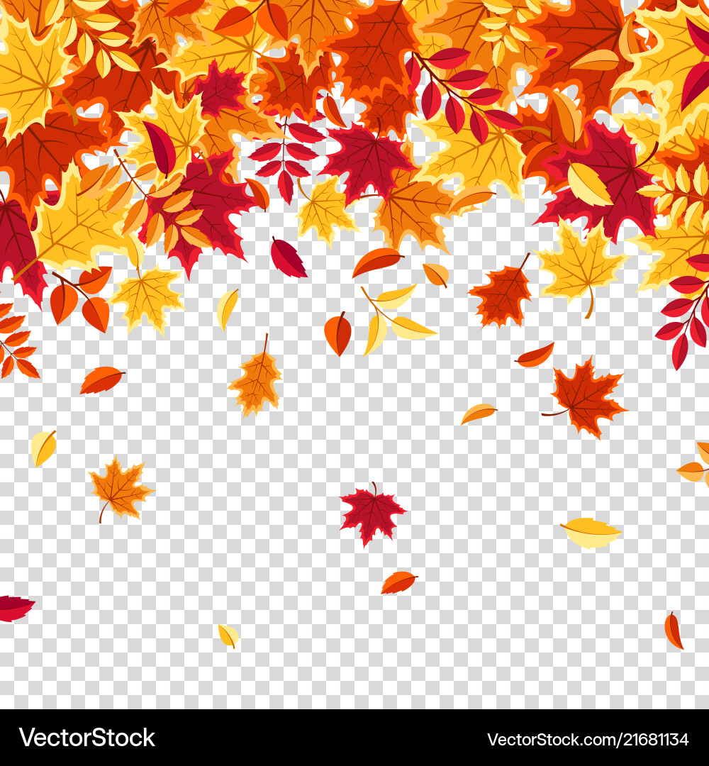 Autumn falling leaves nature background with red Vector Image