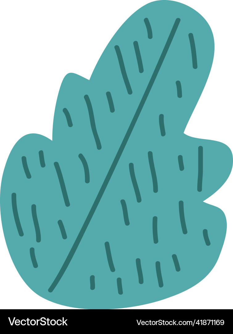 Leaf plant ecology Royalty Free Vector Image - VectorStock