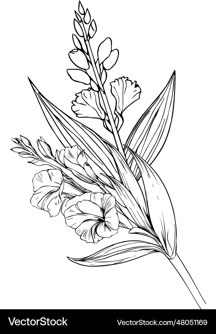 Tattoo gladiolus flower drawing gladiolus Vector Image