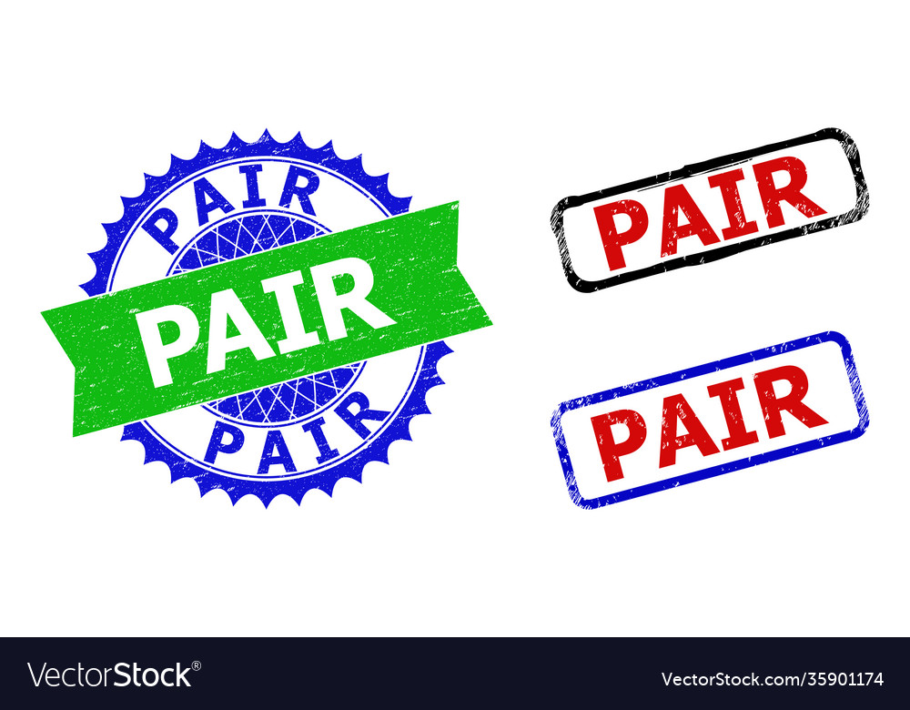 Pair rosette and rectangle bicolor stamp seals Vector Image