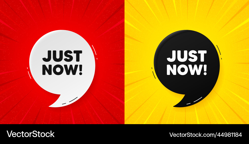 Just now symbol special offer sign flash Vector Image