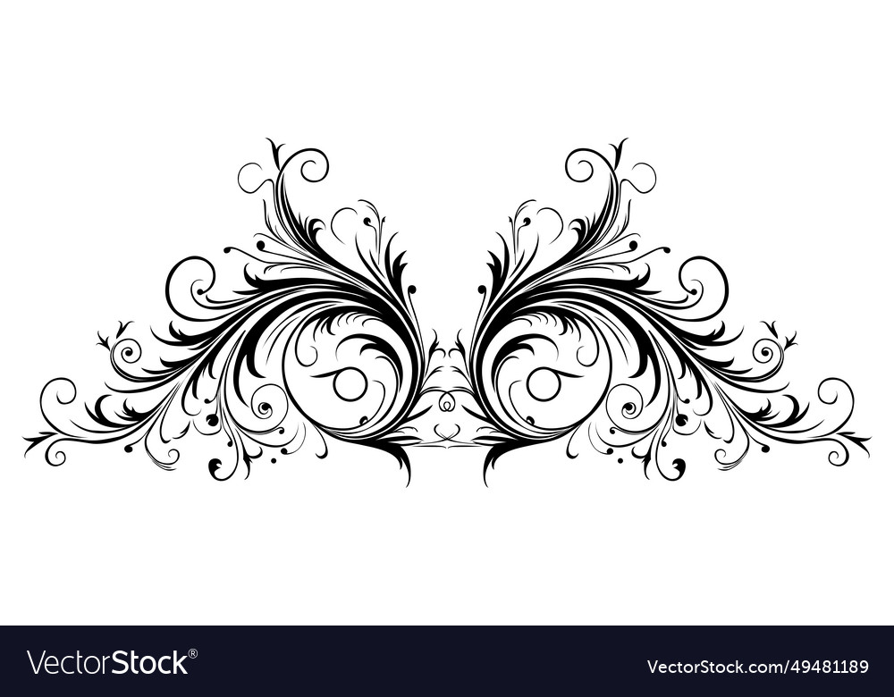 Calligraphic floral design elements and page Vector Image Calligraphic floral design elements and page Vector Image