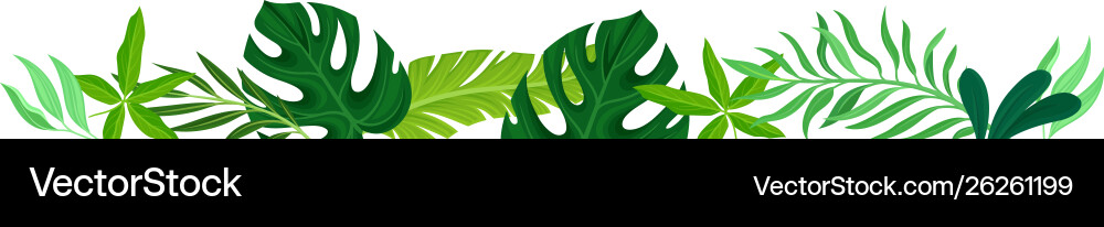 Horizontal line leaves on Royalty Free Vector Image