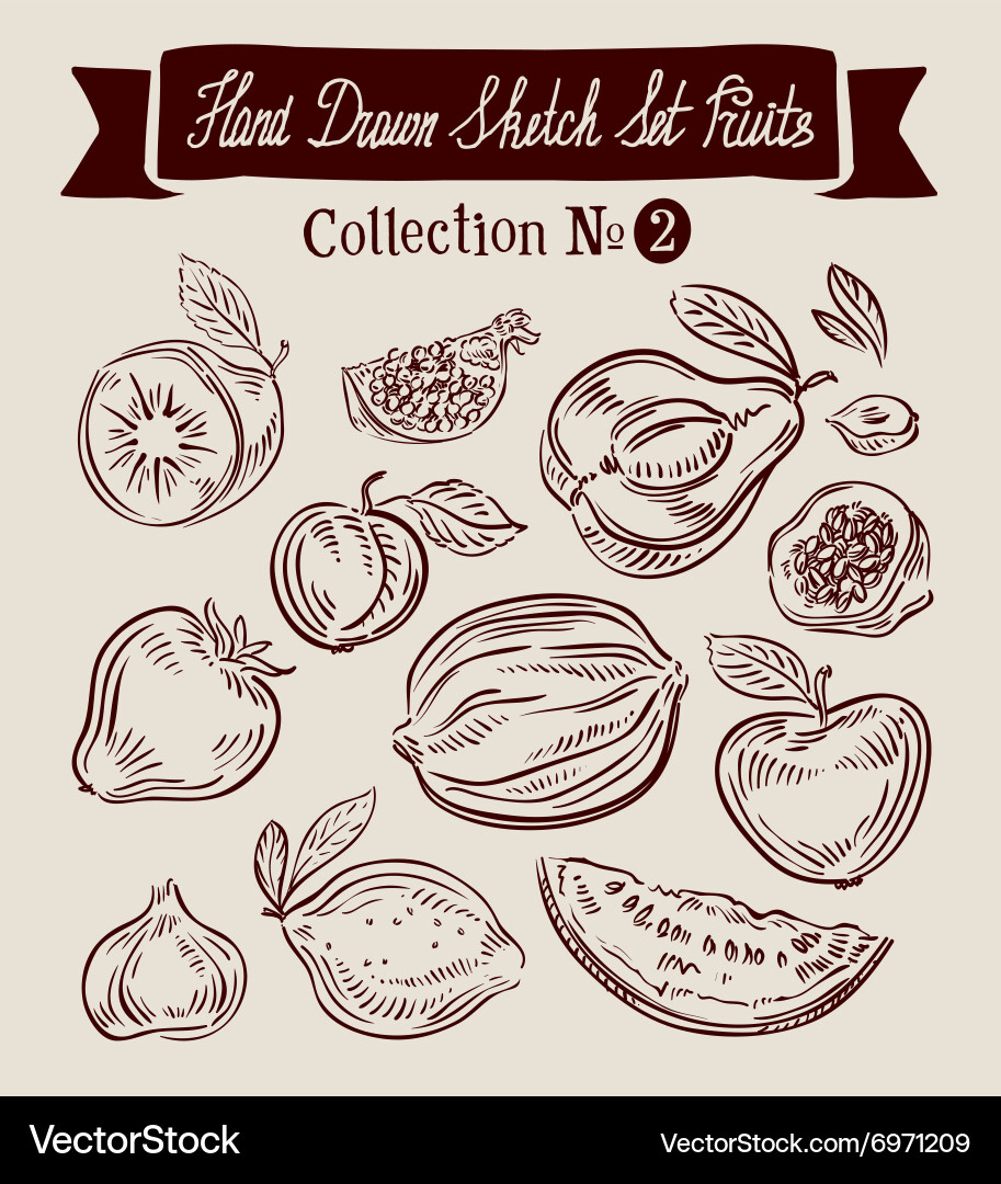 Fruit Hand-drawn Doodle set Royalty Free Vector Image