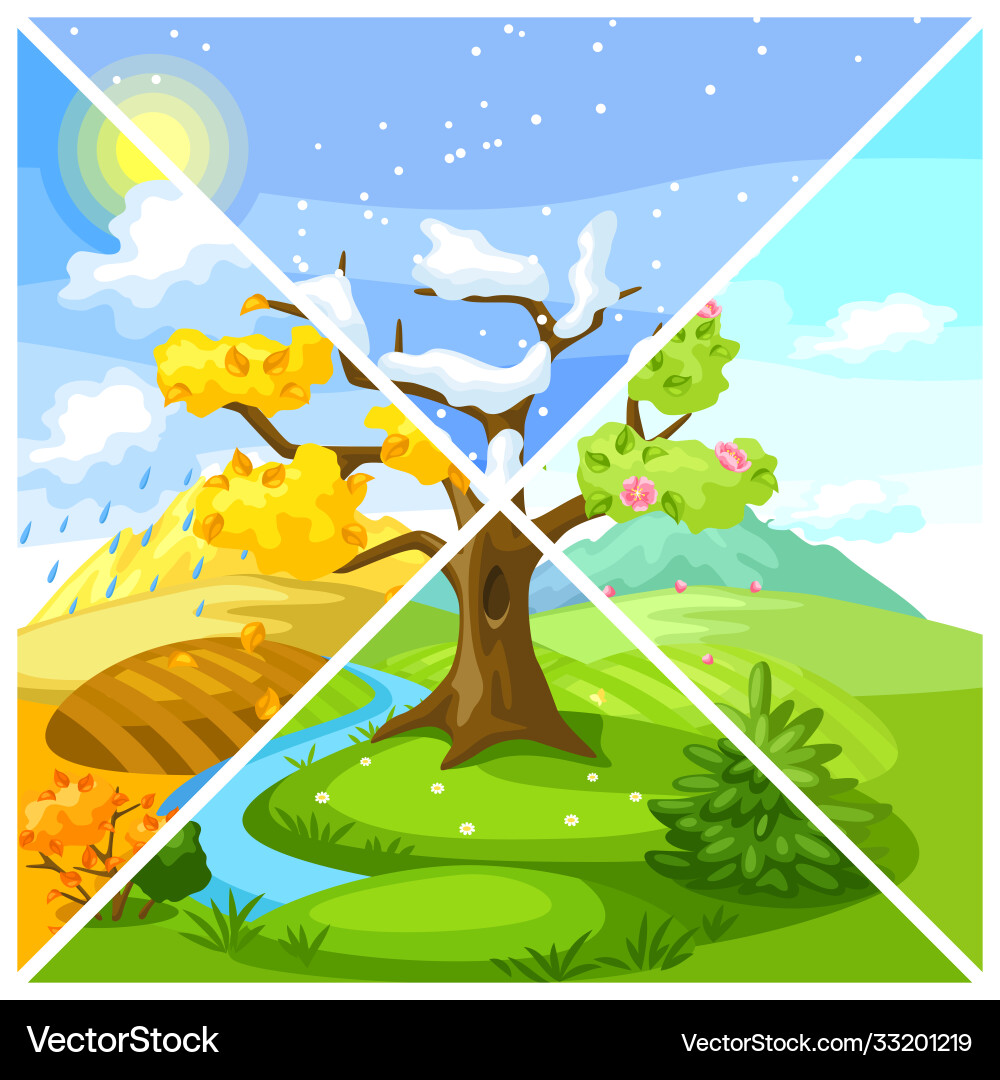 Four seasons landscape with trees Royalty Free Vector Image