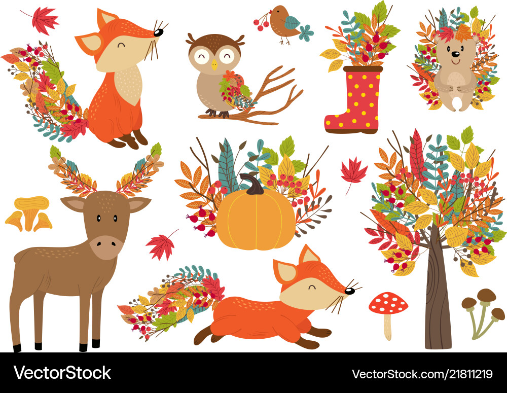 Set isolated forest animals and autumn plants Vector Image