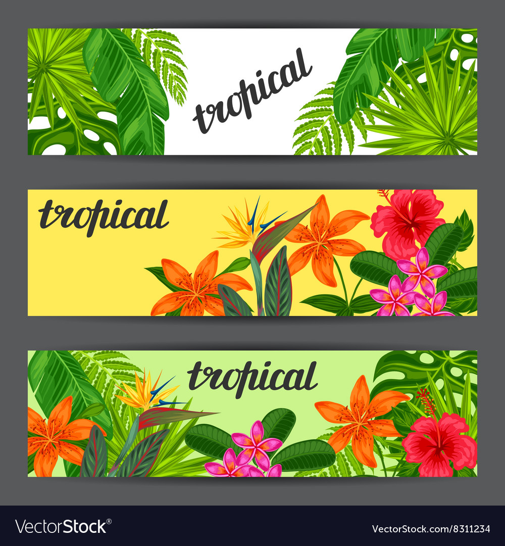 Banners with stylized tropical plants leaves Vector Image