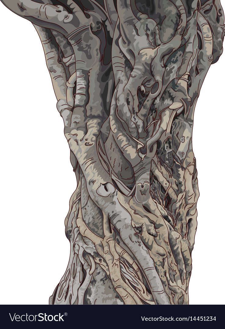 Tree trunk Royalty Free Vector Image - VectorStock