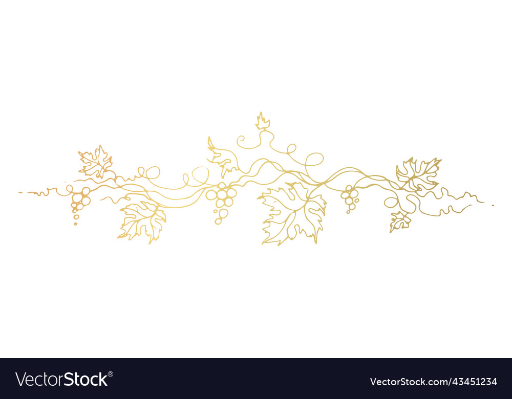 Vine design elements Royalty Free Vector Image