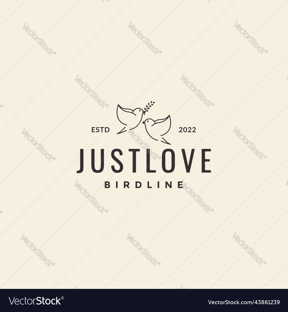Lines doves couple flying hipster logo design Vector Image