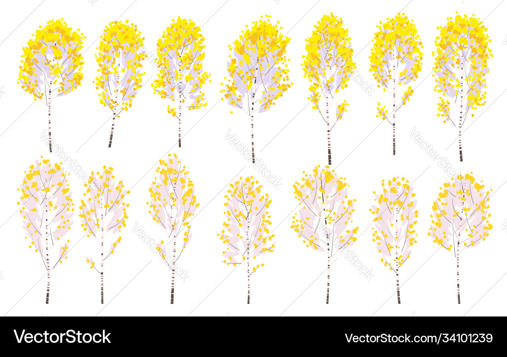 Simple autumn birch trees with yellow leaves Vector Image
