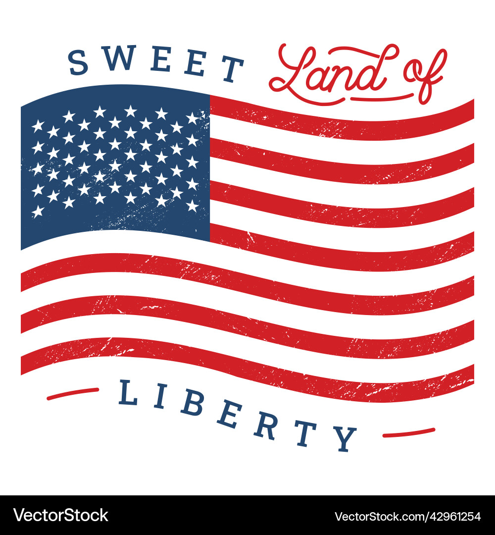 American flag badge high quality Royalty Free Vector Image