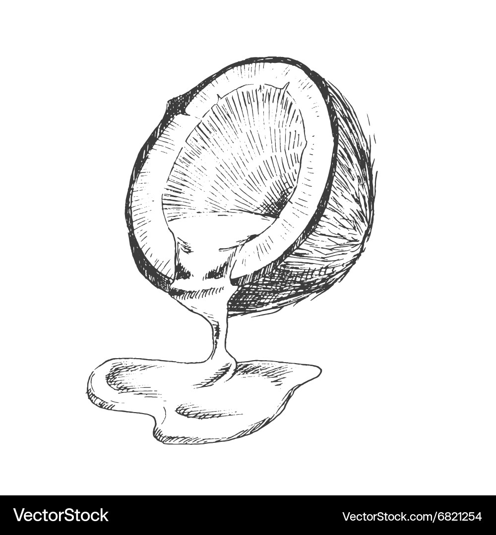 Coconut hand drawn sketch with palm leaf Vector Image