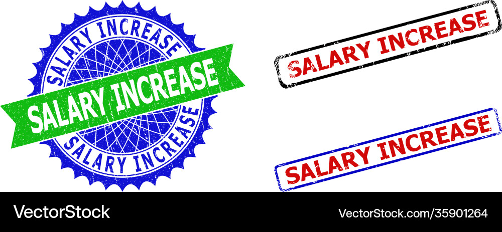 Salary increase rosette and rectangle bicolor Vector Image
