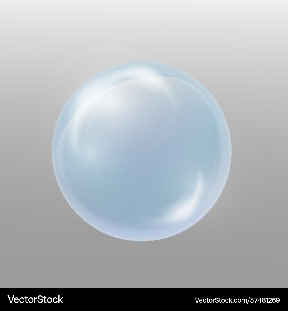 Light blue water soap bubble element for design Vector Image