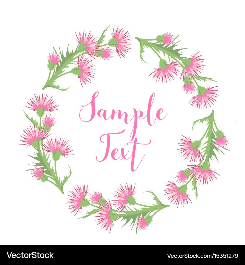 Thistle with leaves Royalty Free Vector Image - VectorStock