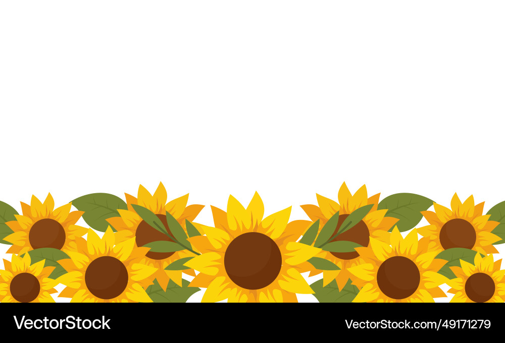 Watercolor sunflower border background Royalty Free Vector