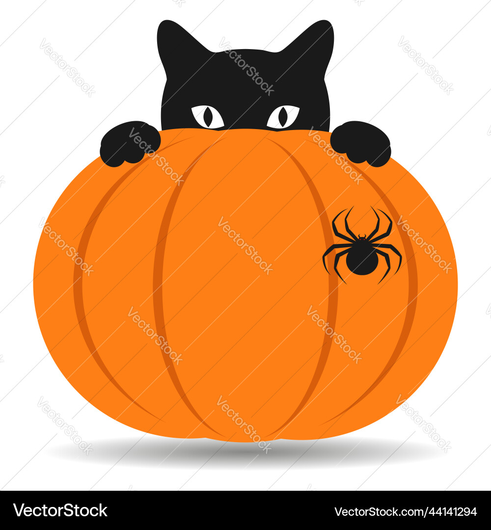 Halloween with black cat and pumpkin Royalty Free Vector