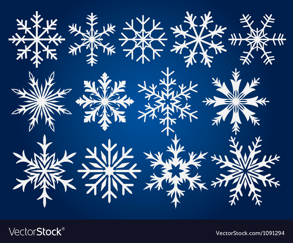 Snowflake winter set Royalty Free Vector Image