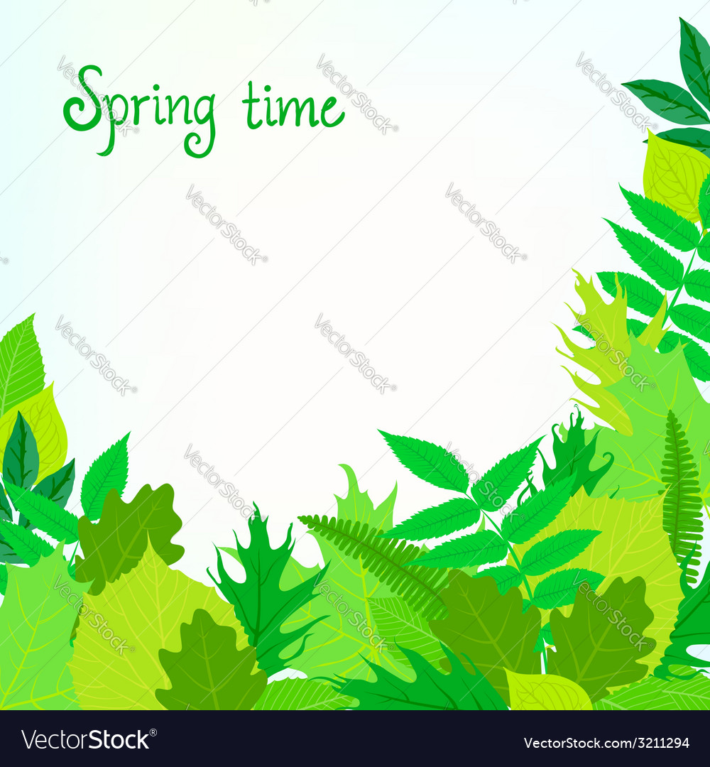 Spring card background with green leaves Vector Image
