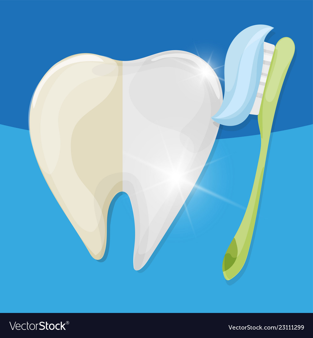 Professional teeth whitening healthy and yellow Vector Image