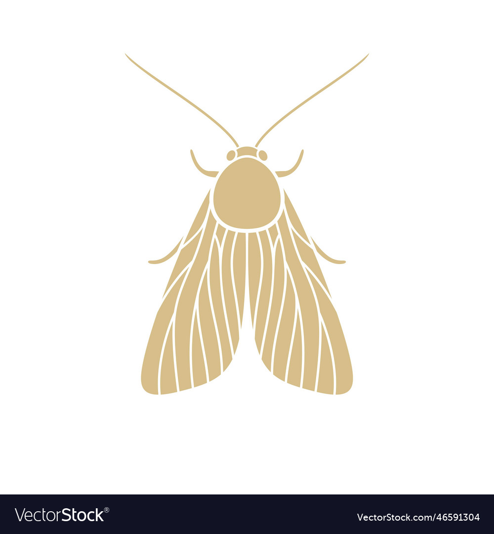 Moth Royalty Free Vector Image - VectorStock