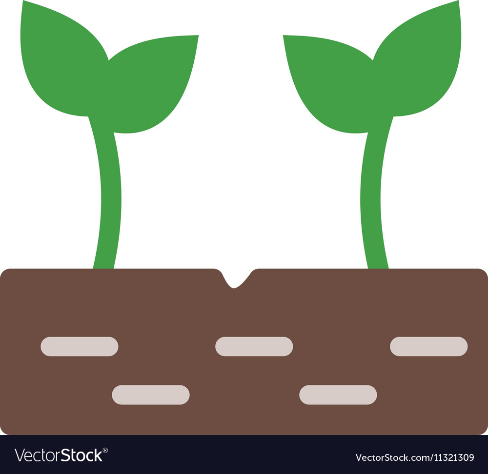 Sprouts Royalty Free Vector Image - VectorStock