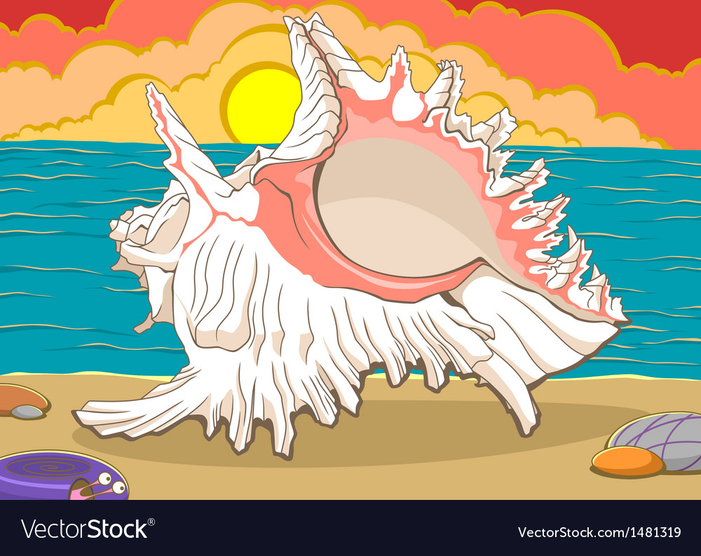 Seashell Royalty Free Vector Image - VectorStock