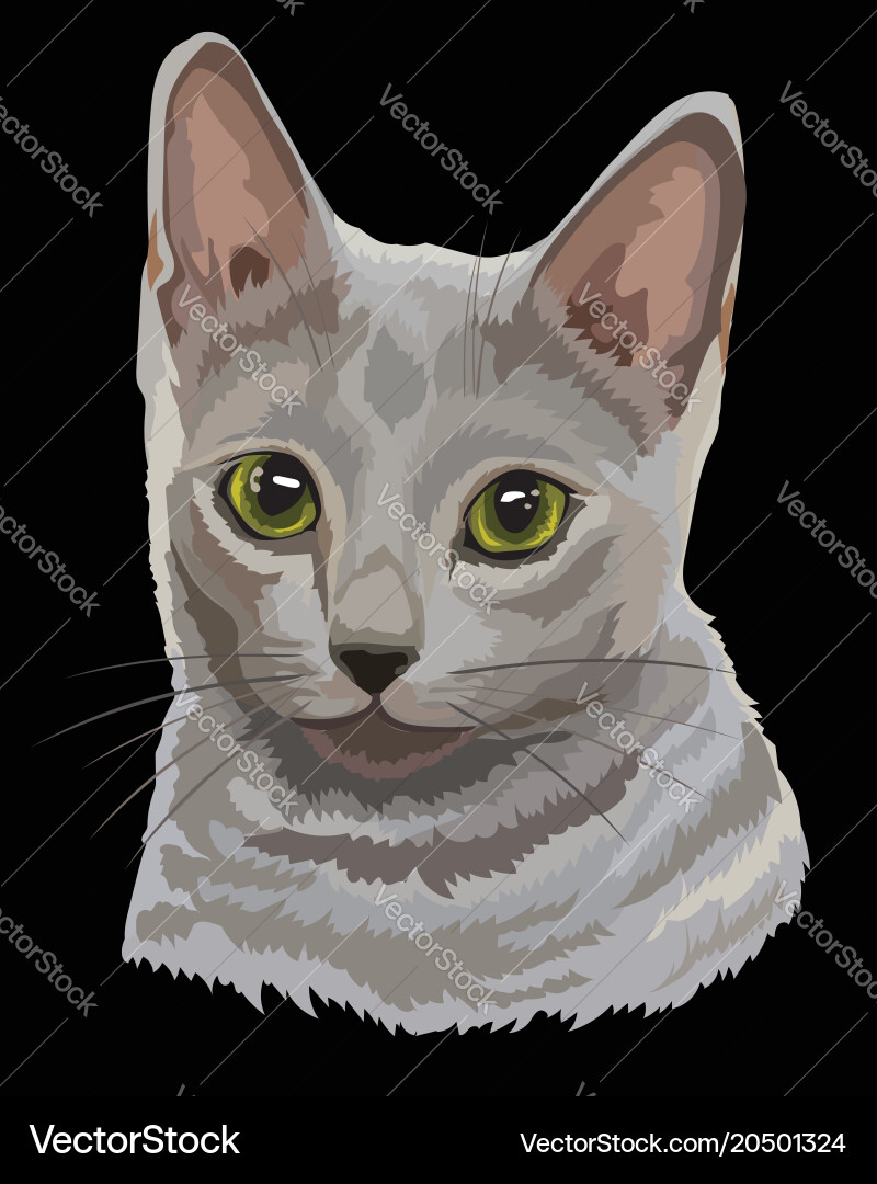 Colored russian blue cat Royalty Free Vector Image
