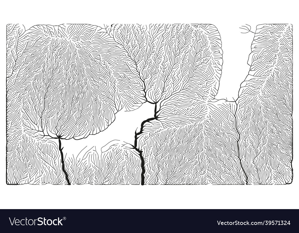 Growth Pattern Generative Branching Structure Vector Image