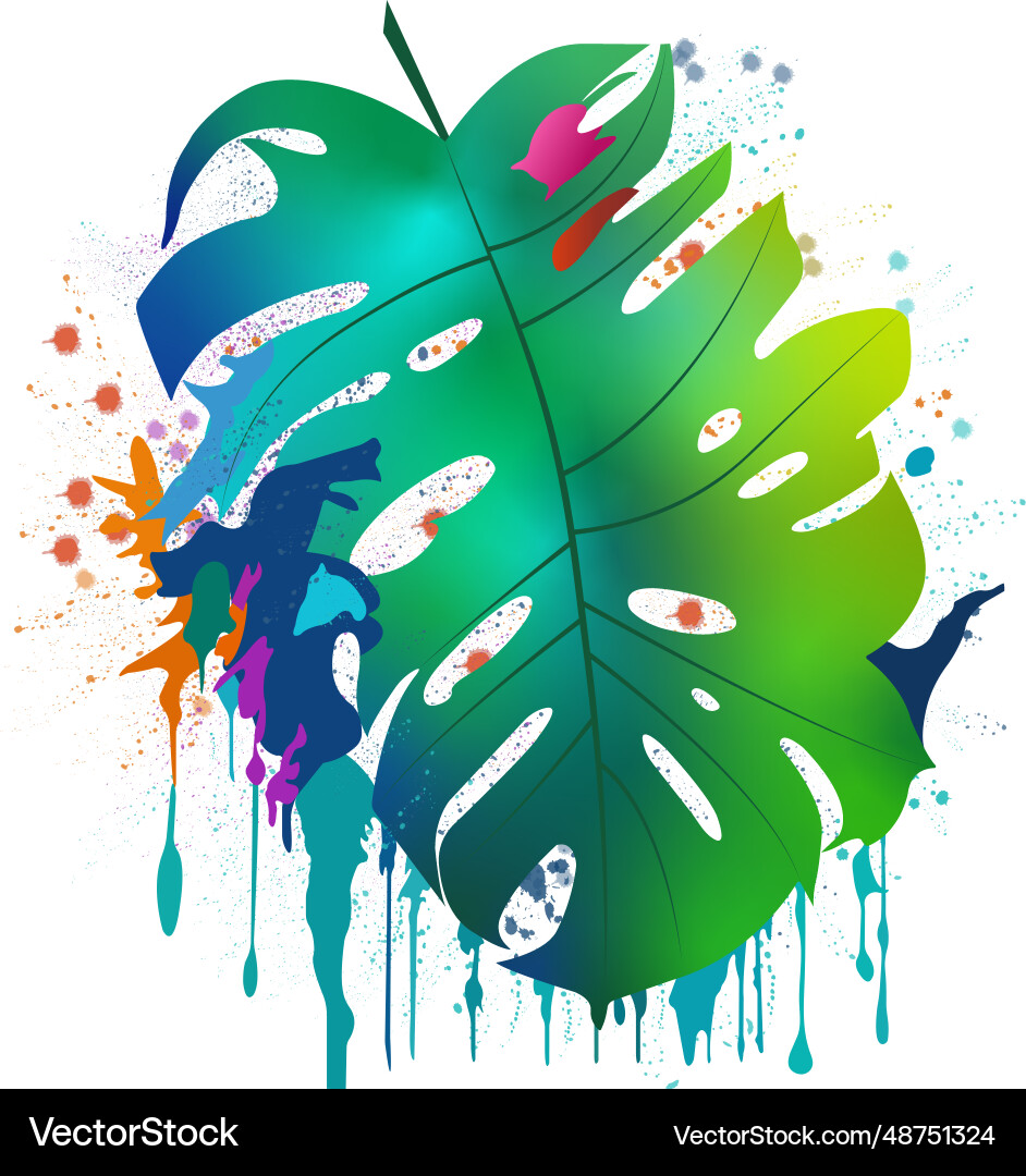 Monstera leaf Royalty Free Vector Image - VectorStock