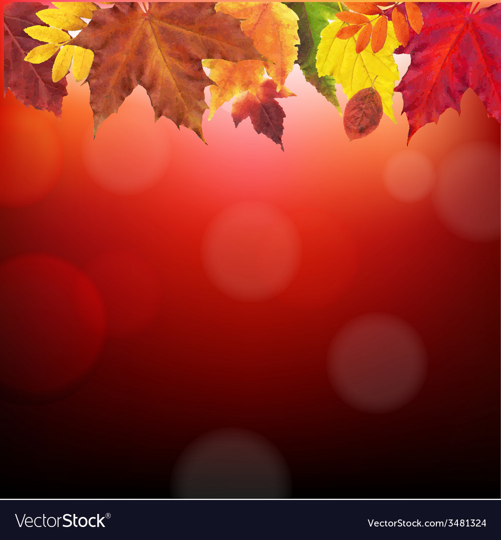 Red border Royalty Free Vector Image - VectorStock