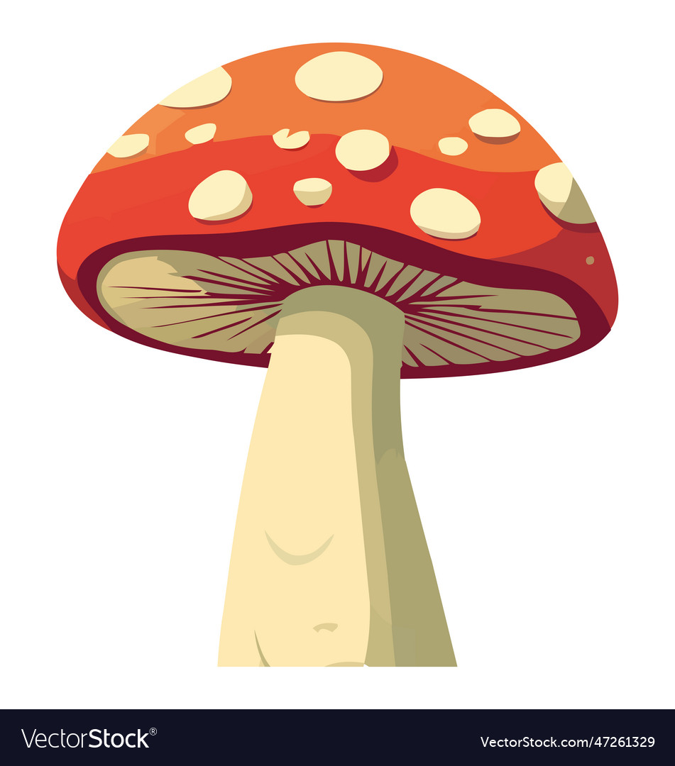 Spotted toadstool Royalty Free Vector Image - VectorStock