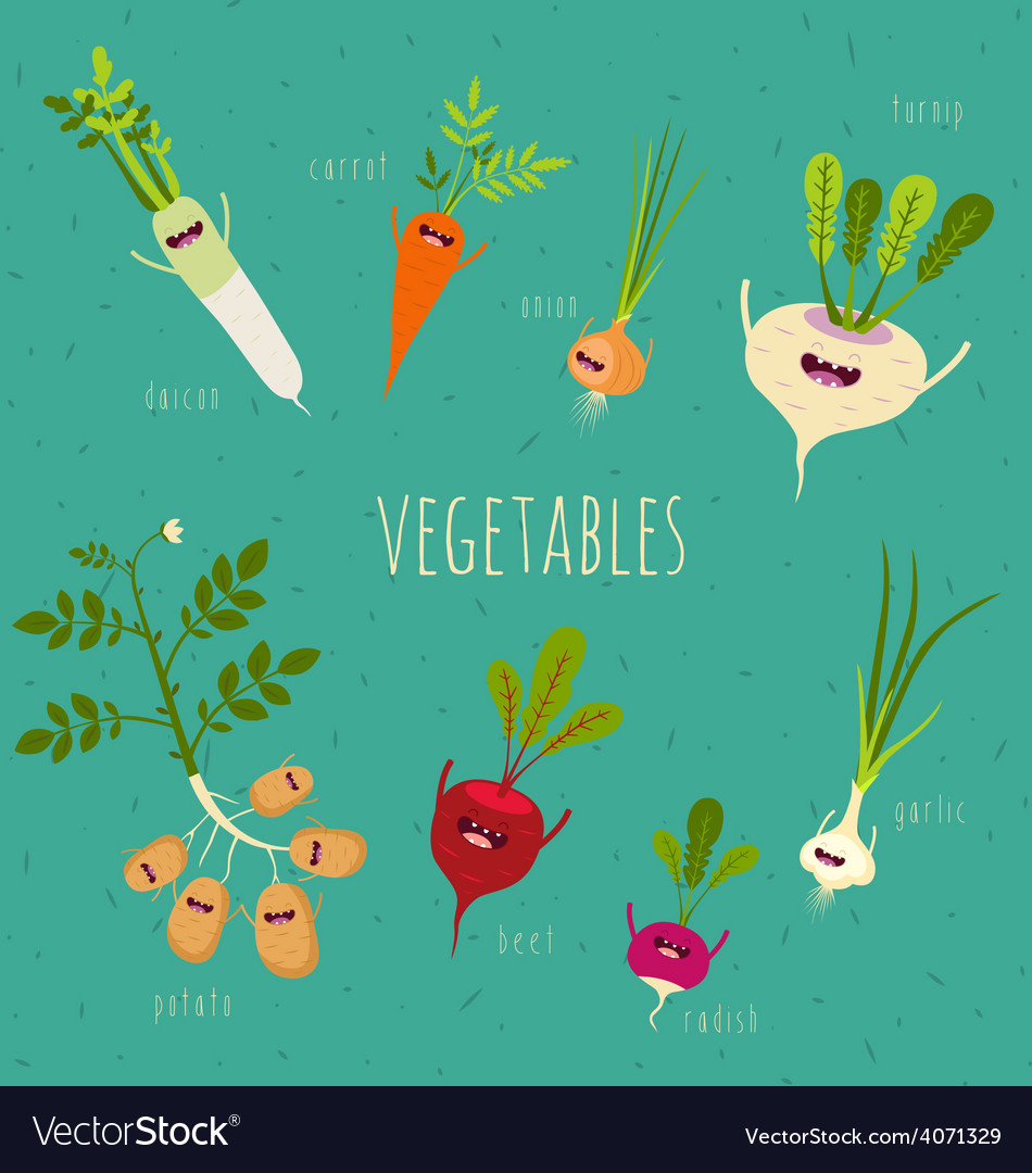Vegetables set Royalty Free Vector Image - VectorStock