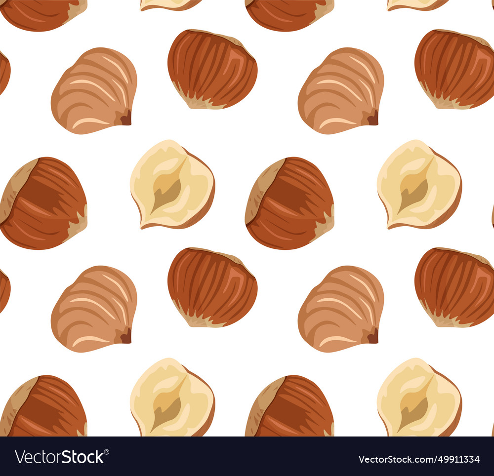 Hazelnut kernels Royalty Free Vector Image - VectorStock