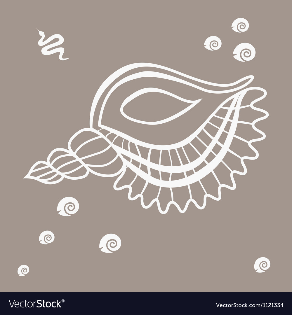 Shell design Royalty Free Vector Image - VectorStock
