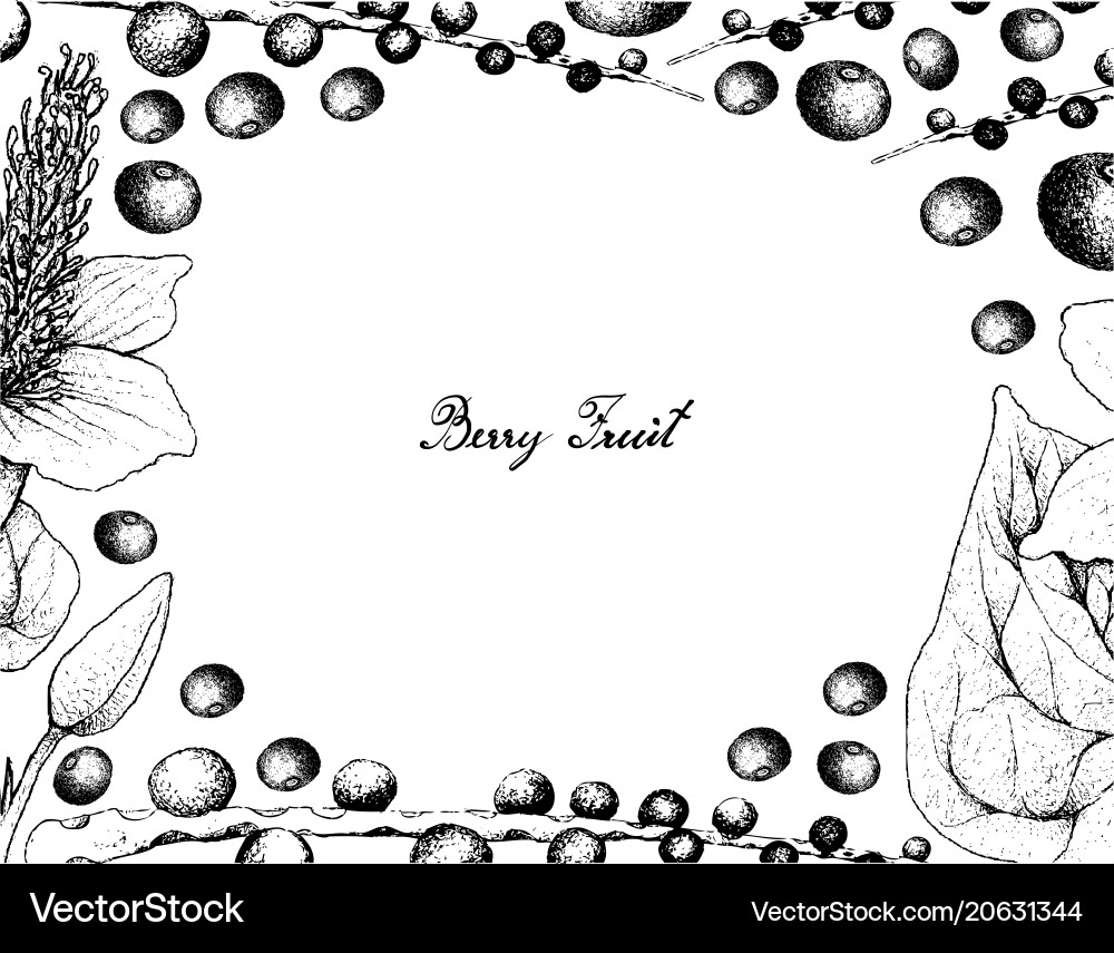 Hand drawn frame of acai berries and lizard tail Vector Image