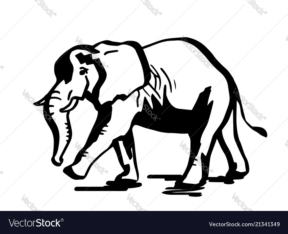Elephant Royalty Free Vector Image - VectorStock