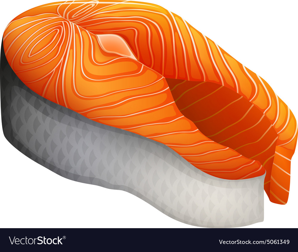 Salmon Royalty Free Vector Image - VectorStock
