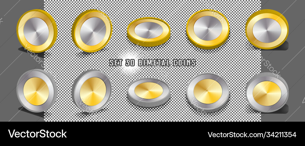 A set two types samples 3d bimetallic coins Vector Image